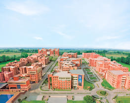 Top Colleges In Noida - 2025 Rankings, Fees, Placements - Zollege