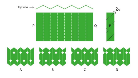 CEED 2025 Question Paper Pdf- Check Solutions with Answer Key Pdf