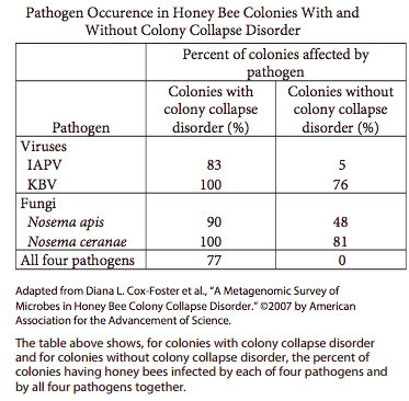 SAT EBRW: Test Format, Score, Books and Practice Papers