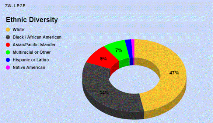 Georgia State University Admissions: Deadline, Requirements, Acceptance ...