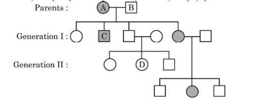 CBSE Class 12 Biology Question Paper 2025 Available: Download Solution ...