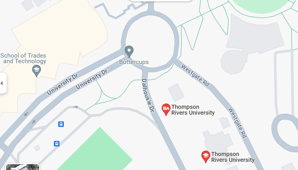 Thompson Rivers University : Ranking, Courses, Fees, Requirements, and ...