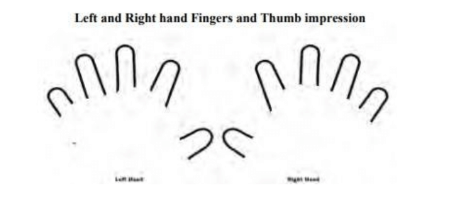 NEET Photo Size Guidelines by NTA- Documents Required, Signature Format ...