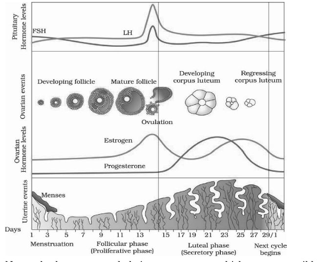 CBSE Class 12 Biology set 2 Question Paper Pdf - Check Solutions with ...