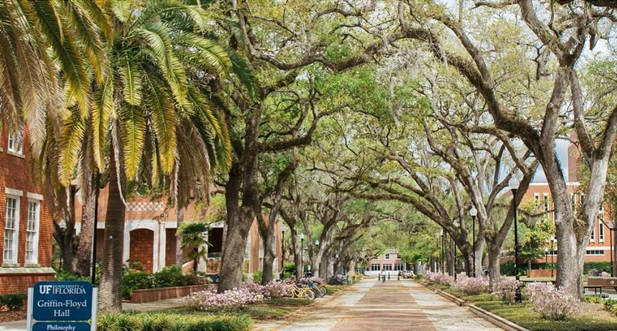 University of Florida : Ranking, Admissions, Courses, Fees, and ...