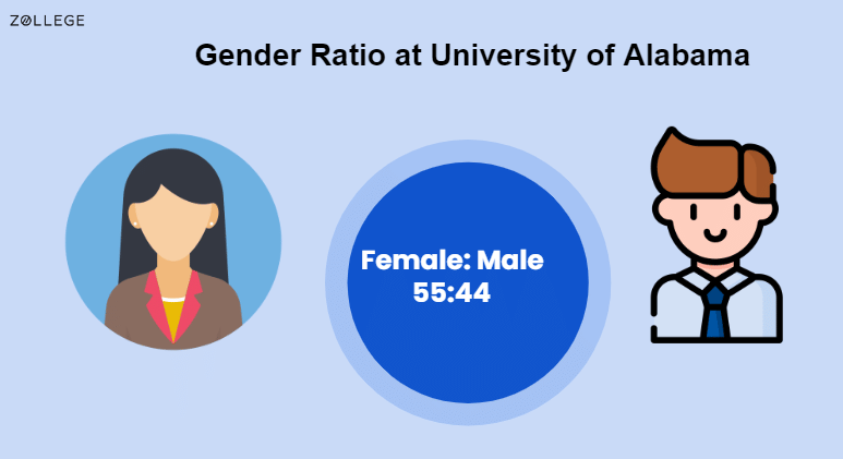 University of Alabama: Cost of Attendance, Rankings, Scholarships, and ...