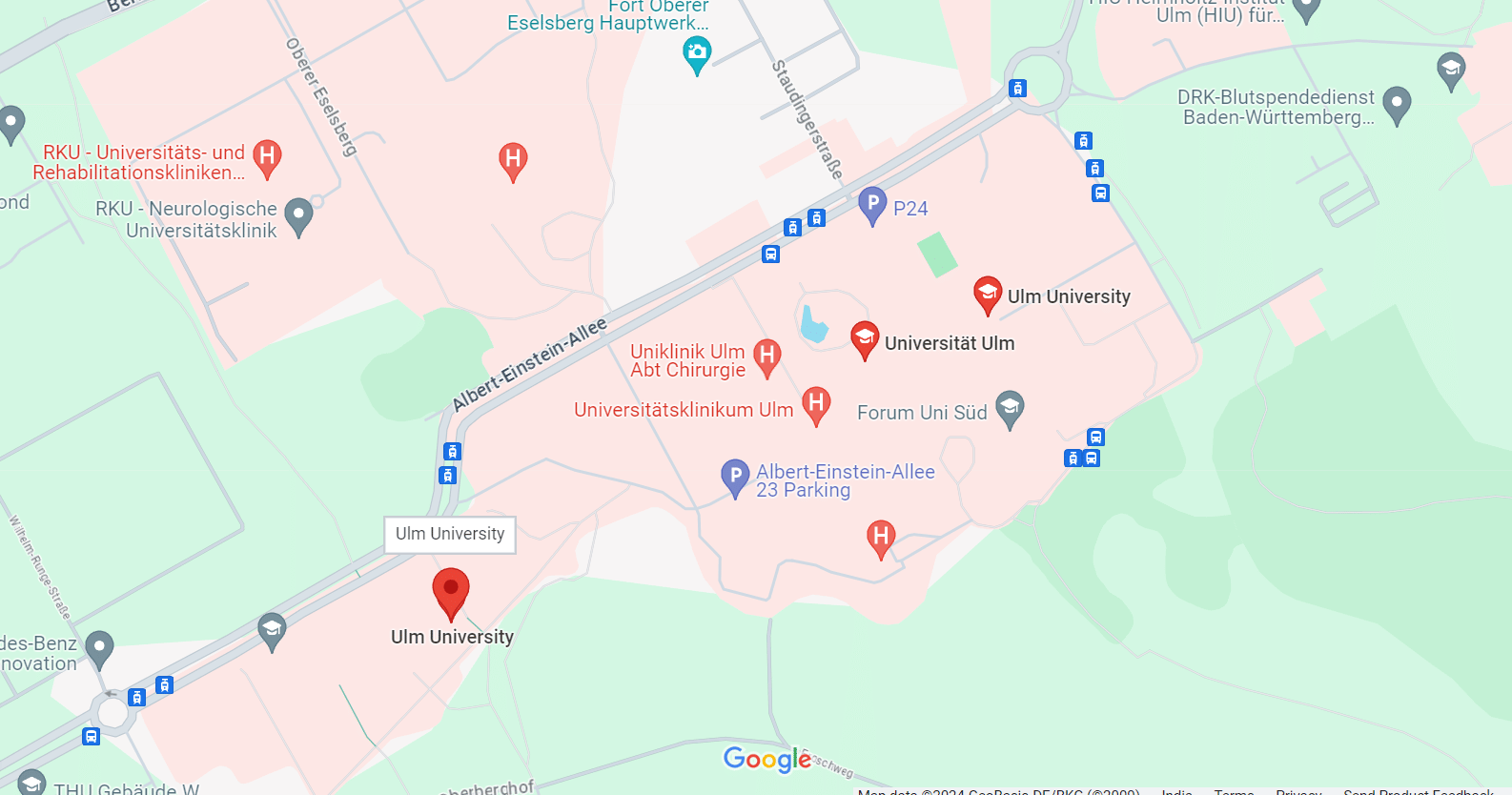 Ulm University- Ranking, Acceptance Rate, Requirements, Accommodation ...
