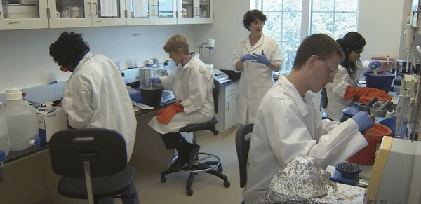 University of North Carolina Charlotte: Ranking, Courses, Admissions ...