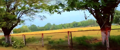 BIT Sindri: Fees, Admission 2025, Courses, Cutoff, Ranking, Placement