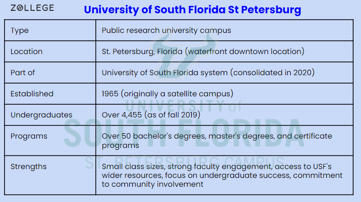 University of South Florida St Petersburg: Acceptance Rate, Ranking ...