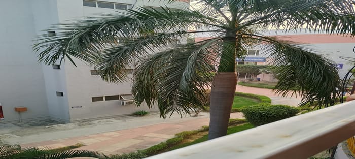 Delhi Technical Campus Greater Noida: Fees, Admission 2025, Courses ...